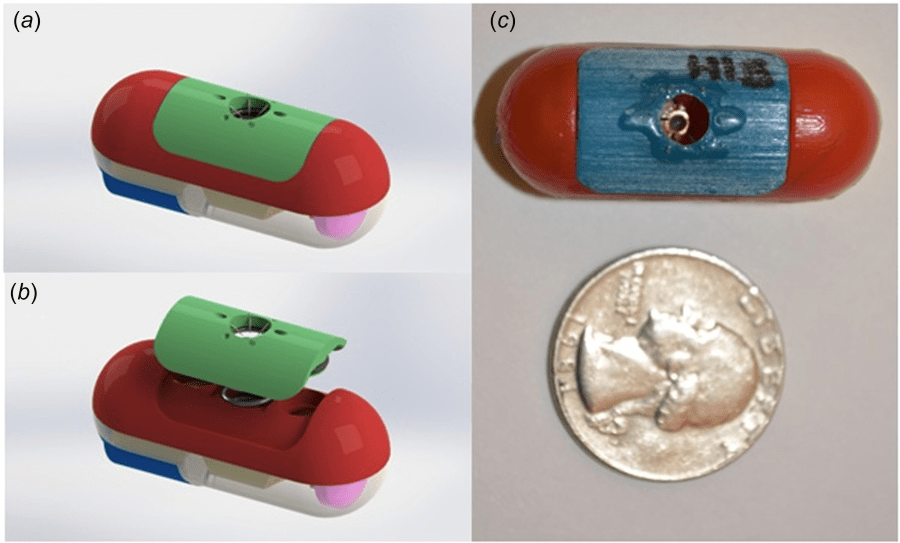 Capsule Robots Can Be Used for Biosensor Implantation – Young ...