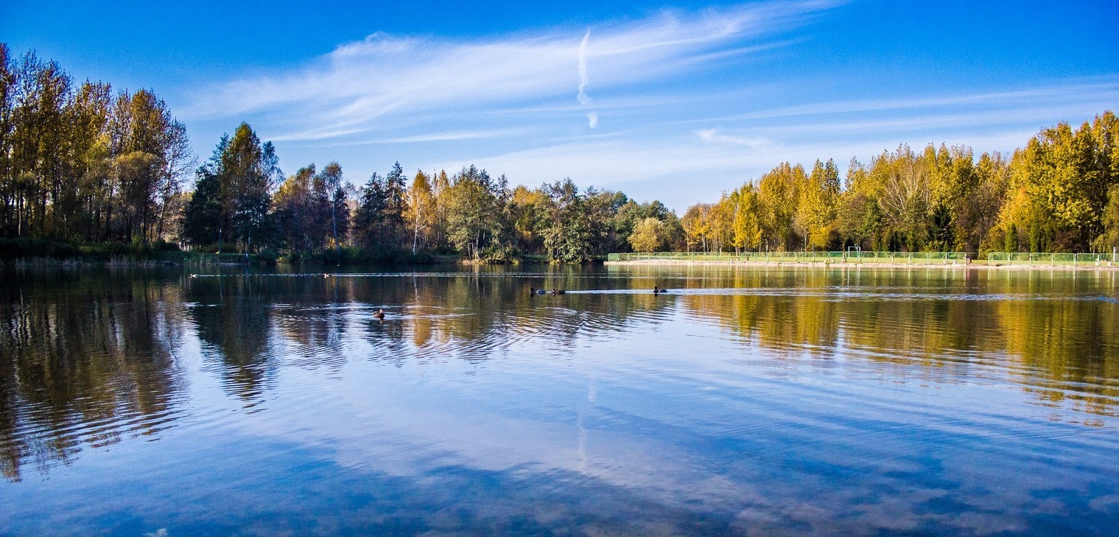 Positive Feedback Loop Implicated in Methane Emissions from Aquatic ...