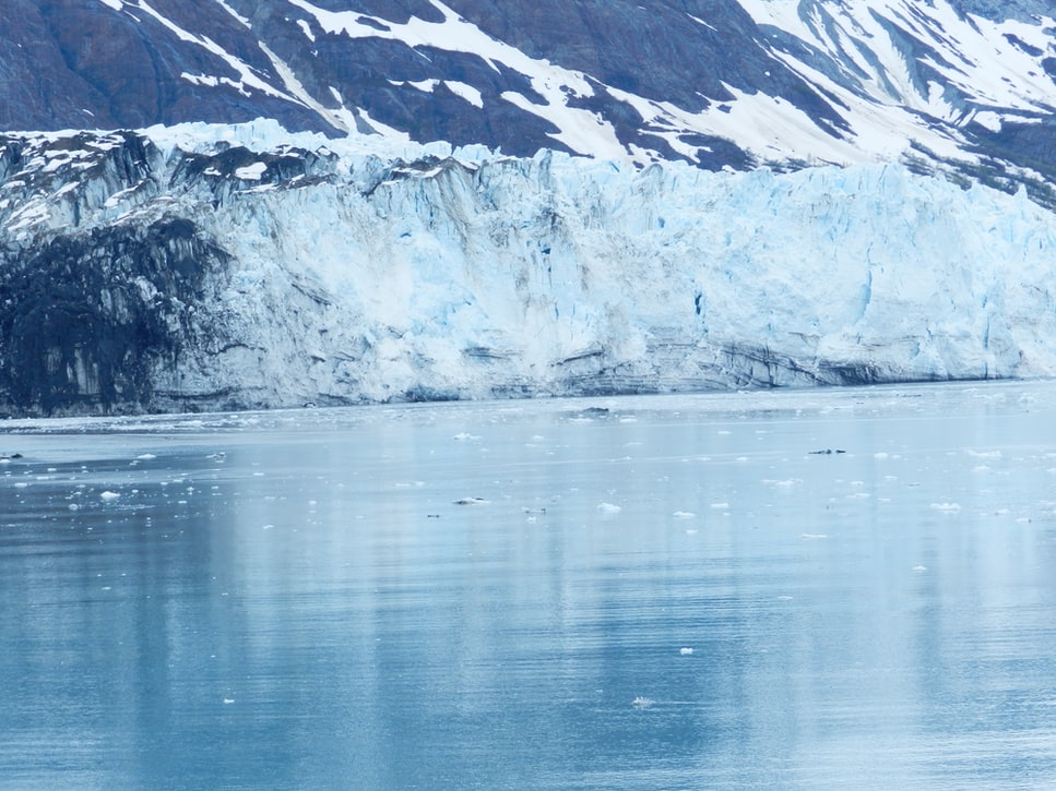Discovery of Plant Fossils Beneath Greenland Ice Sheet Hints at Danger ...