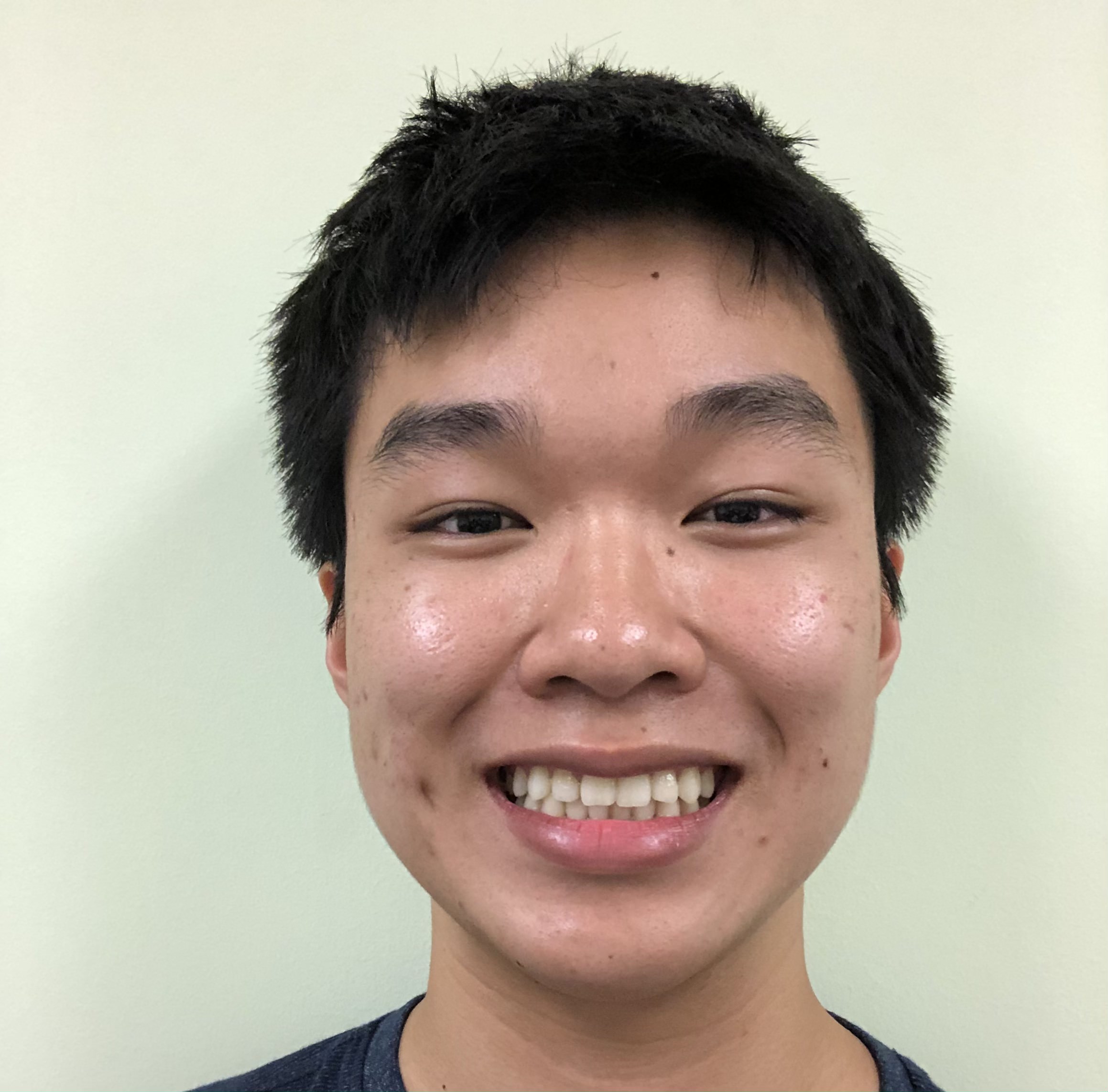 Our Alumni – Young Investigators Review